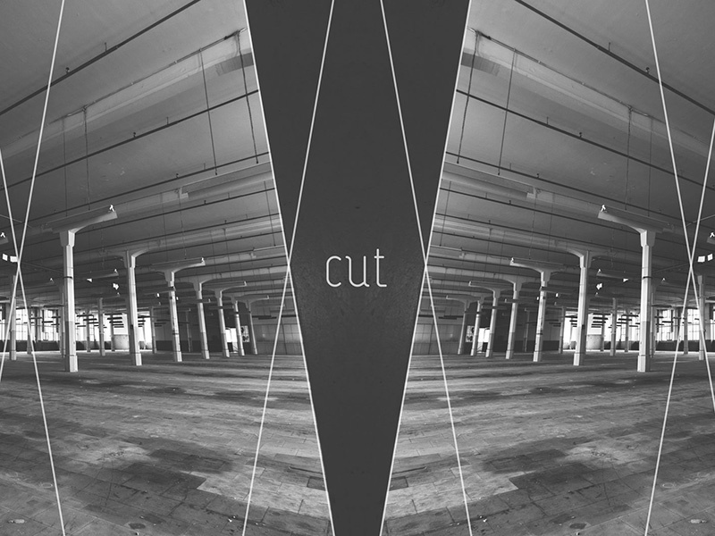 Cut by dataproduction on Dribbble