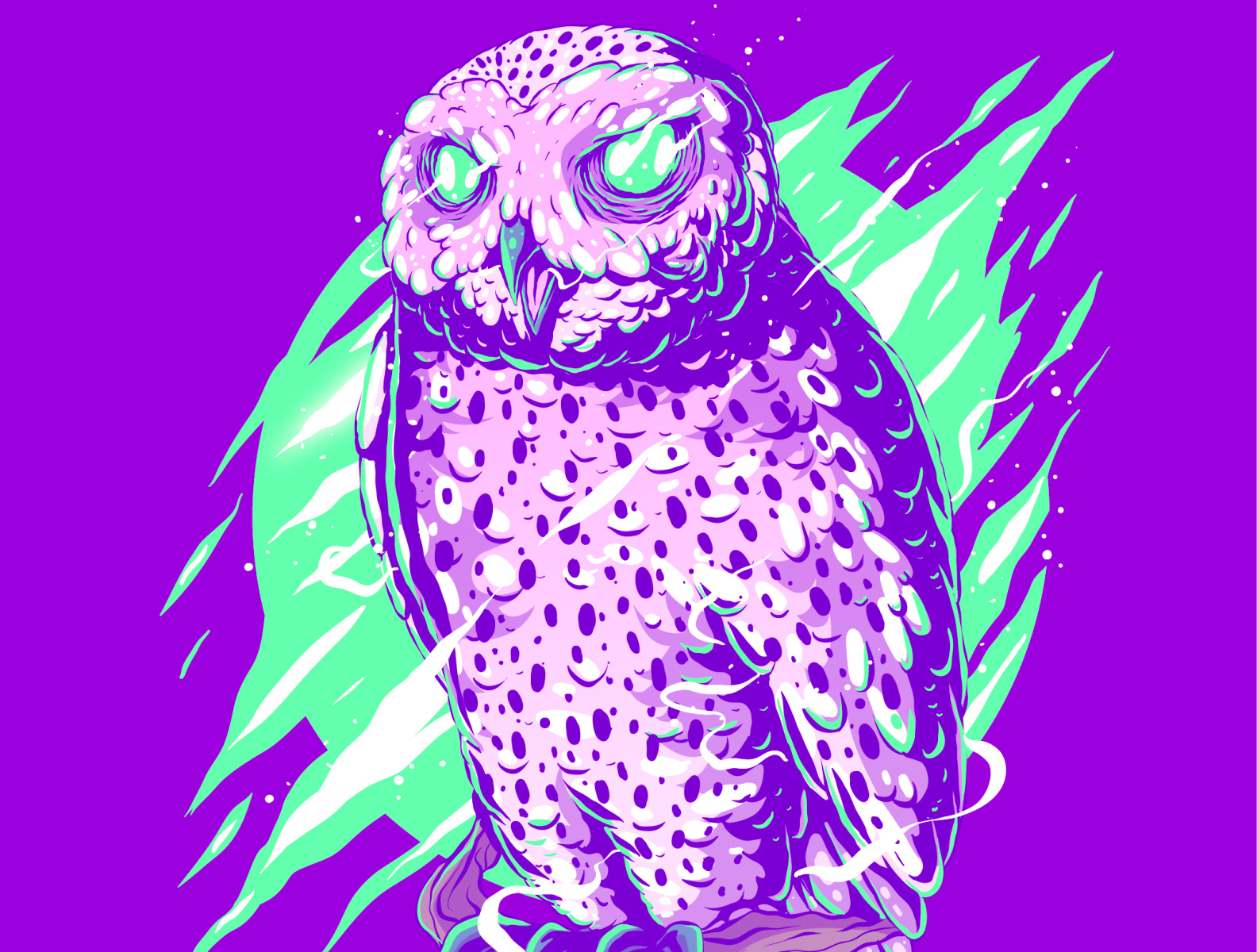 Owl by Karina Roy on Dribbble