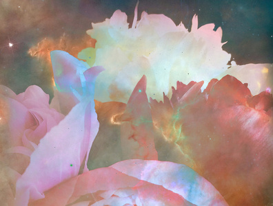 Bloom by Kristen on Dribbble