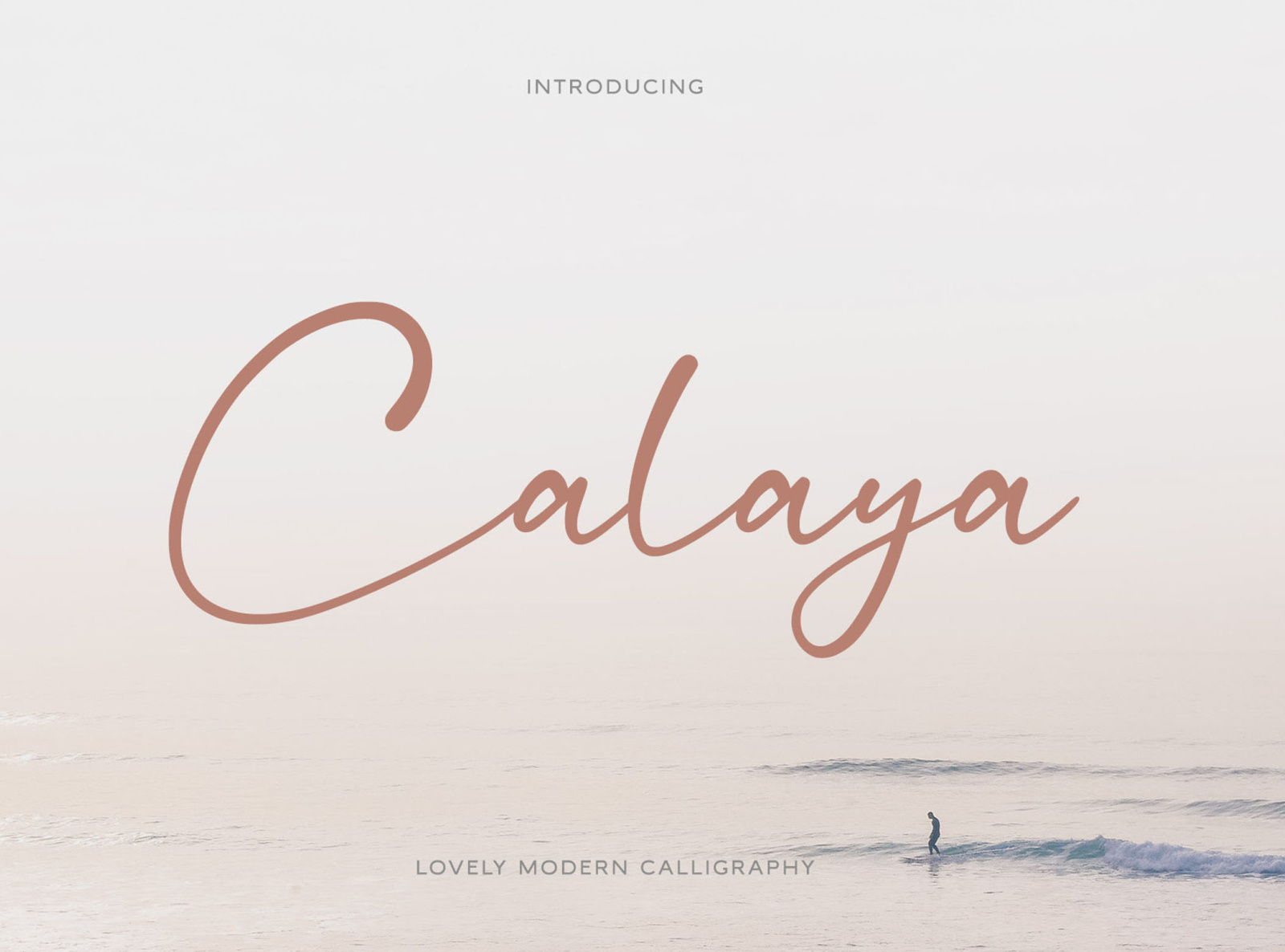 Calaya - Lovely Modern Script by Craft Supply Co. on Dribbble