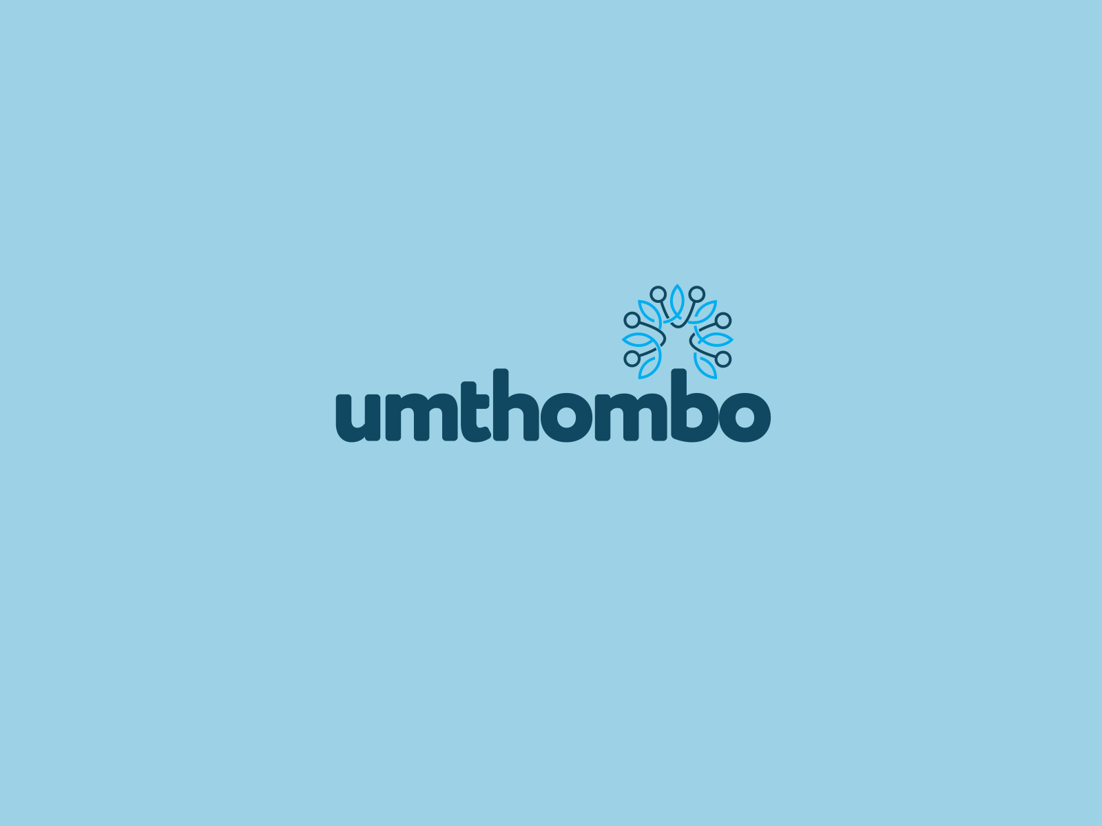 Umthombo by Gerhard van Heerden on Dribbble