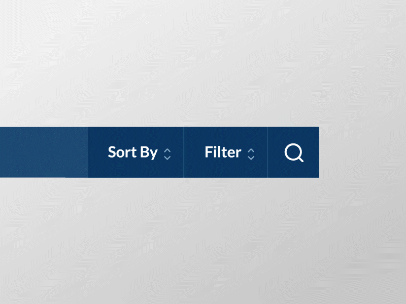 Desktop Search Animation by Andrés Biggemann on Dribbble