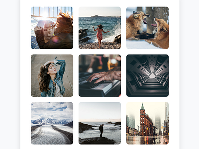 Best Photos Of The Year by Kudret Baydoğan on Dribbble