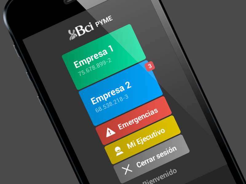 Pyme - 1 by Sergio Nouvel on Dribbble