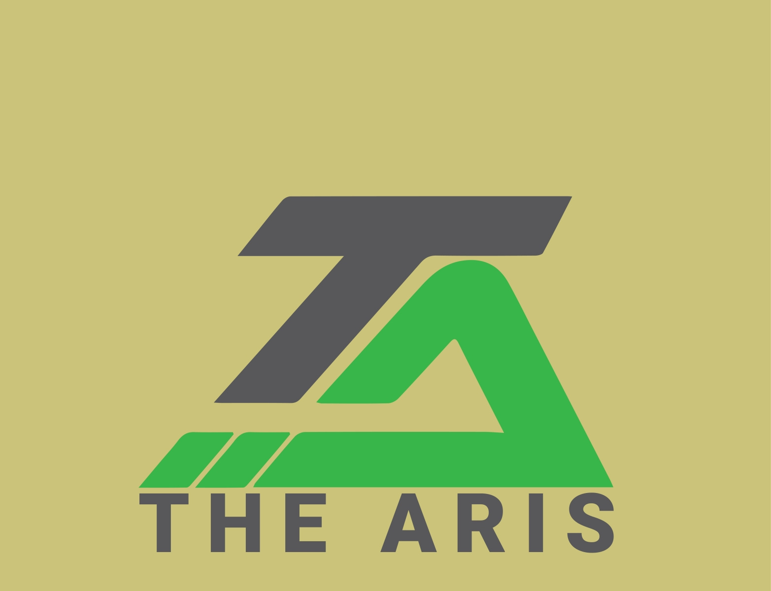 Logo for THE ARIS company by Muhammad Hassam on Dribbble