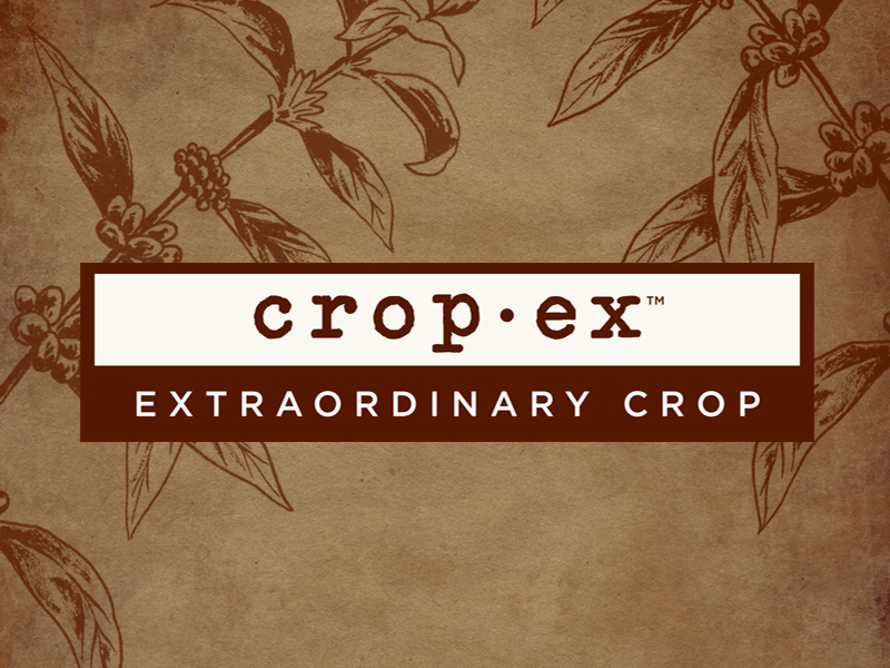Crop ex logo by Tim Eggert on Dribbble