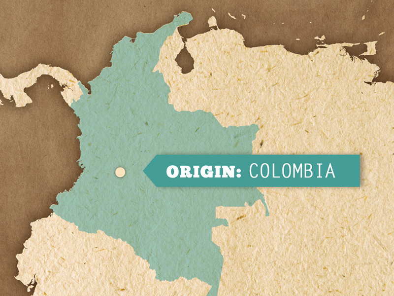 Coffee Map by Tim Eggert on Dribbble