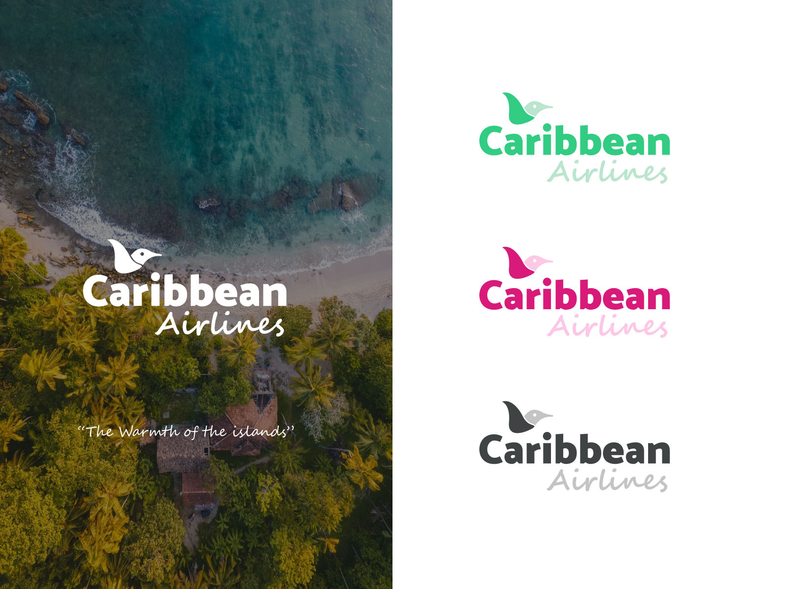 Caribbean Airlines Branding Concept by Dexter on Dribbble