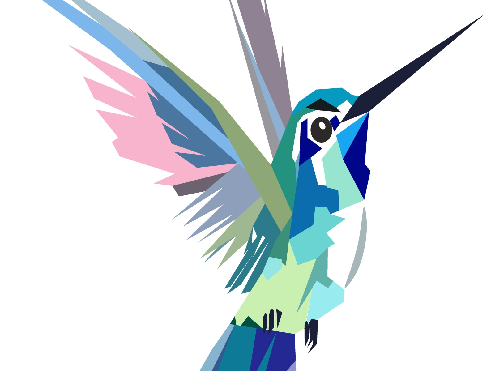 Collibri geometric illustration by Gabriela Zhelyazkova on Dribbble