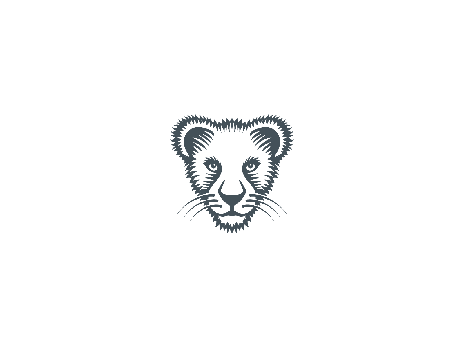 Lion cub by Marko Djekic on Dribbble