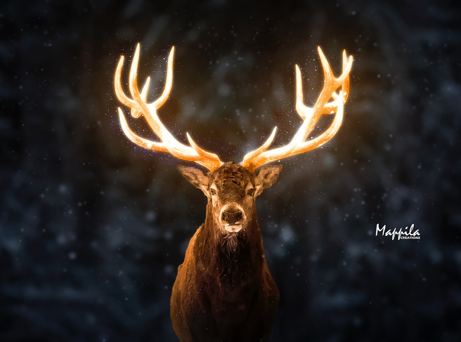 Glowing Deer Photoshop Manipulation by MAPPILA CREATIONZ on Dribbble