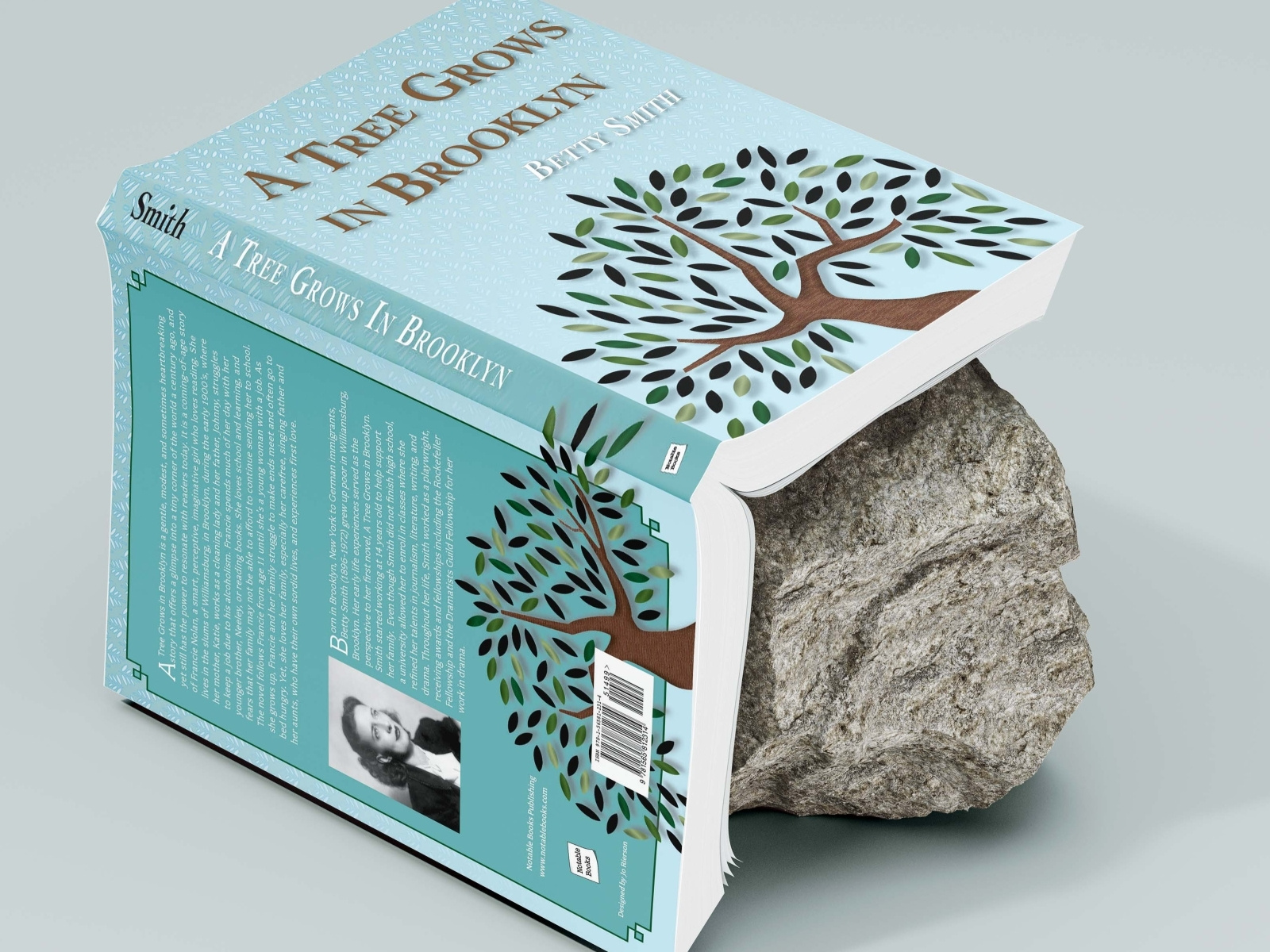 Book Cover by Jo Rierson on Dribbble