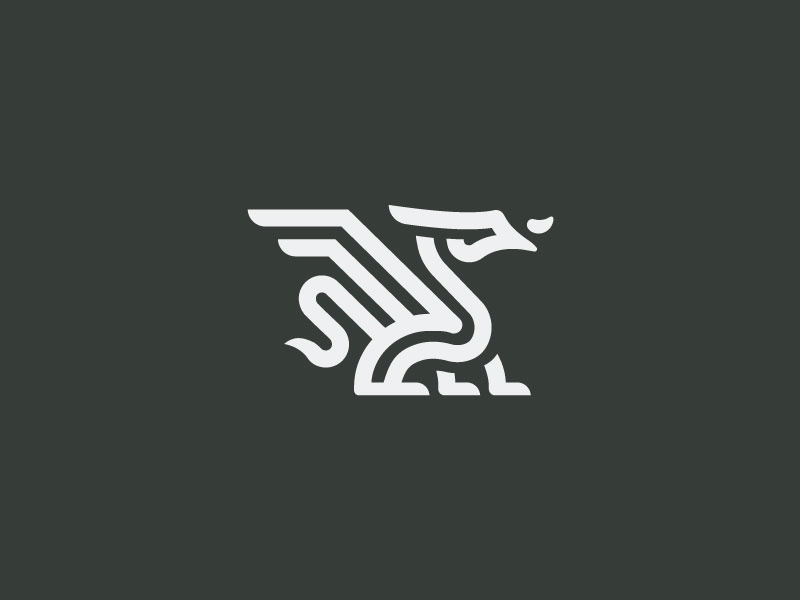 Dragon Mark by Drew Hower on Dribbble