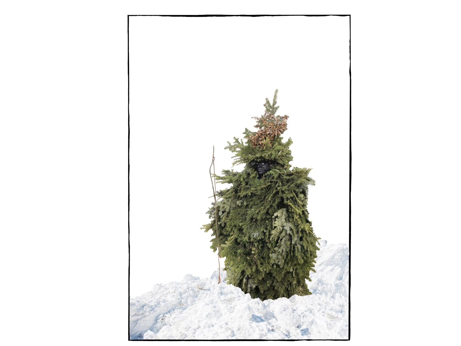 yolka.jpeg by Yulia Tsezar on Dribbble