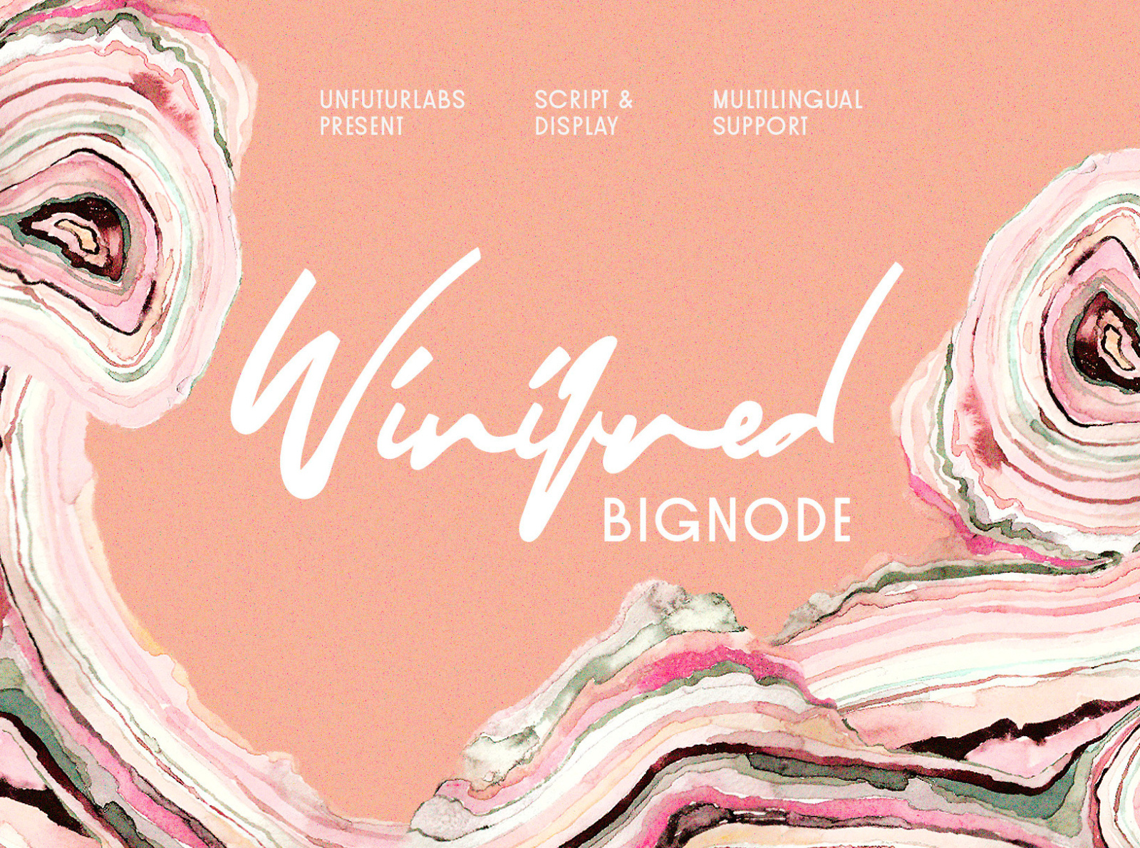 Winifred and Bignode by Unfutur Labs on Dribbble