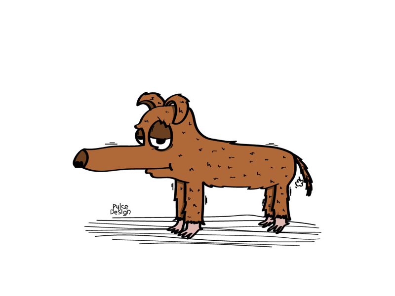 Dog by Matteo Zilla on Dribbble
