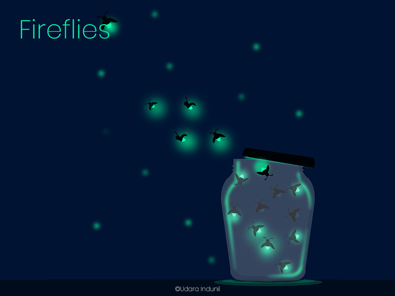 Fireflies by Udara Jayasanka on Dribbble