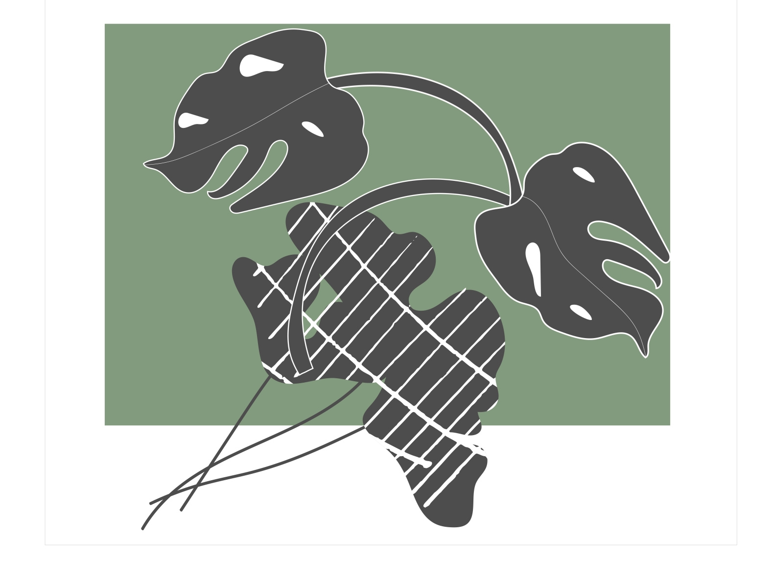 Abstract Monstera by TaniaArtDesign on Dribbble