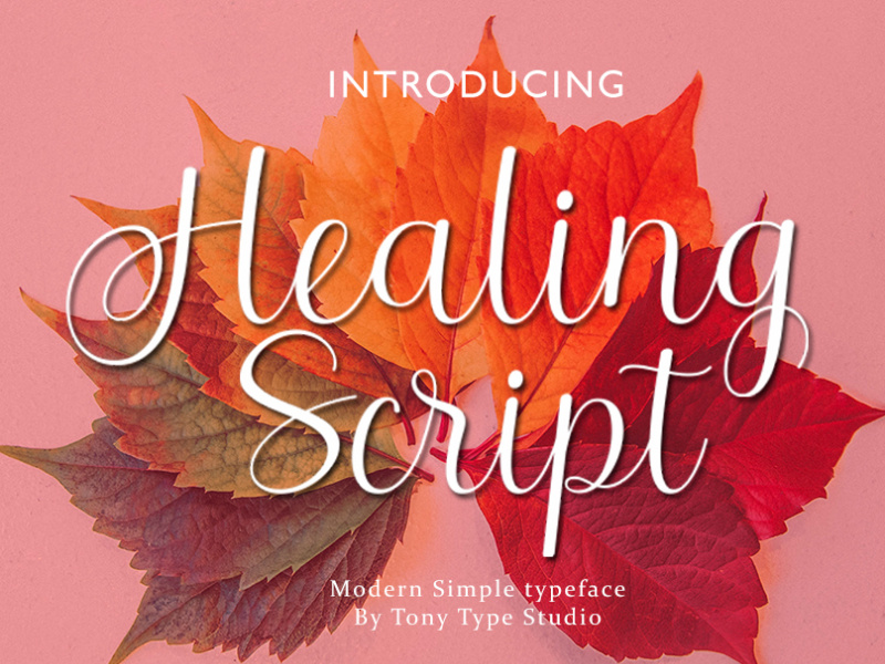 Healing Script by Toni Irfandi on Dribbble