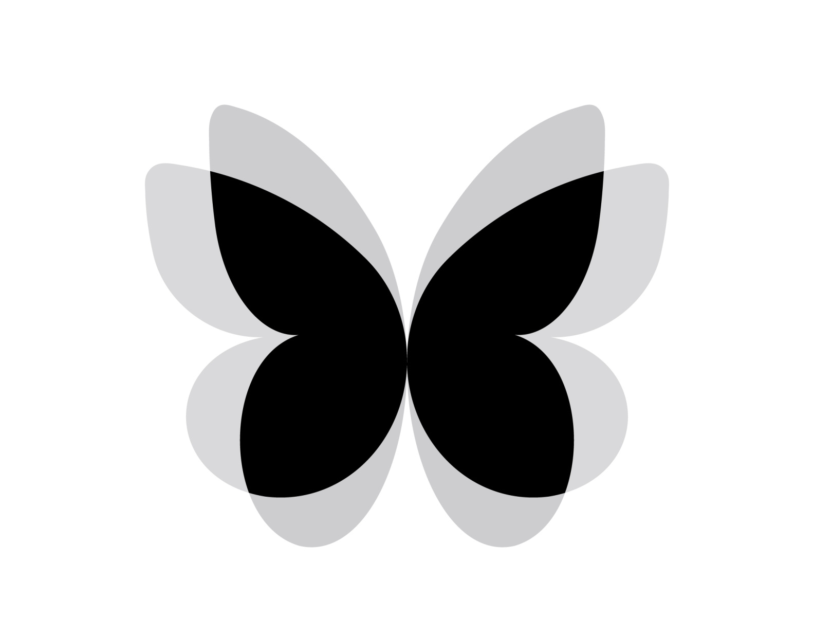 Butterfly motion by Goran Jugovic / Горан Југовић on Dribbble