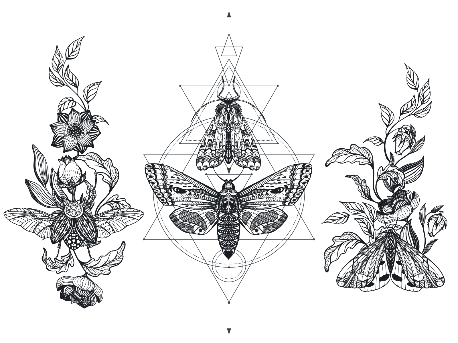 Sacred Geometry, Magic Insects by Nadezhda Molkentin on Dribbble