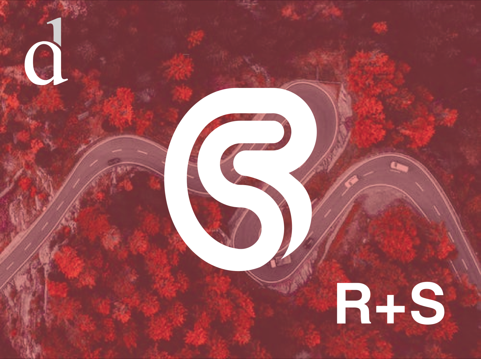 R S Letter Logo by AnasKhan on Dribbble