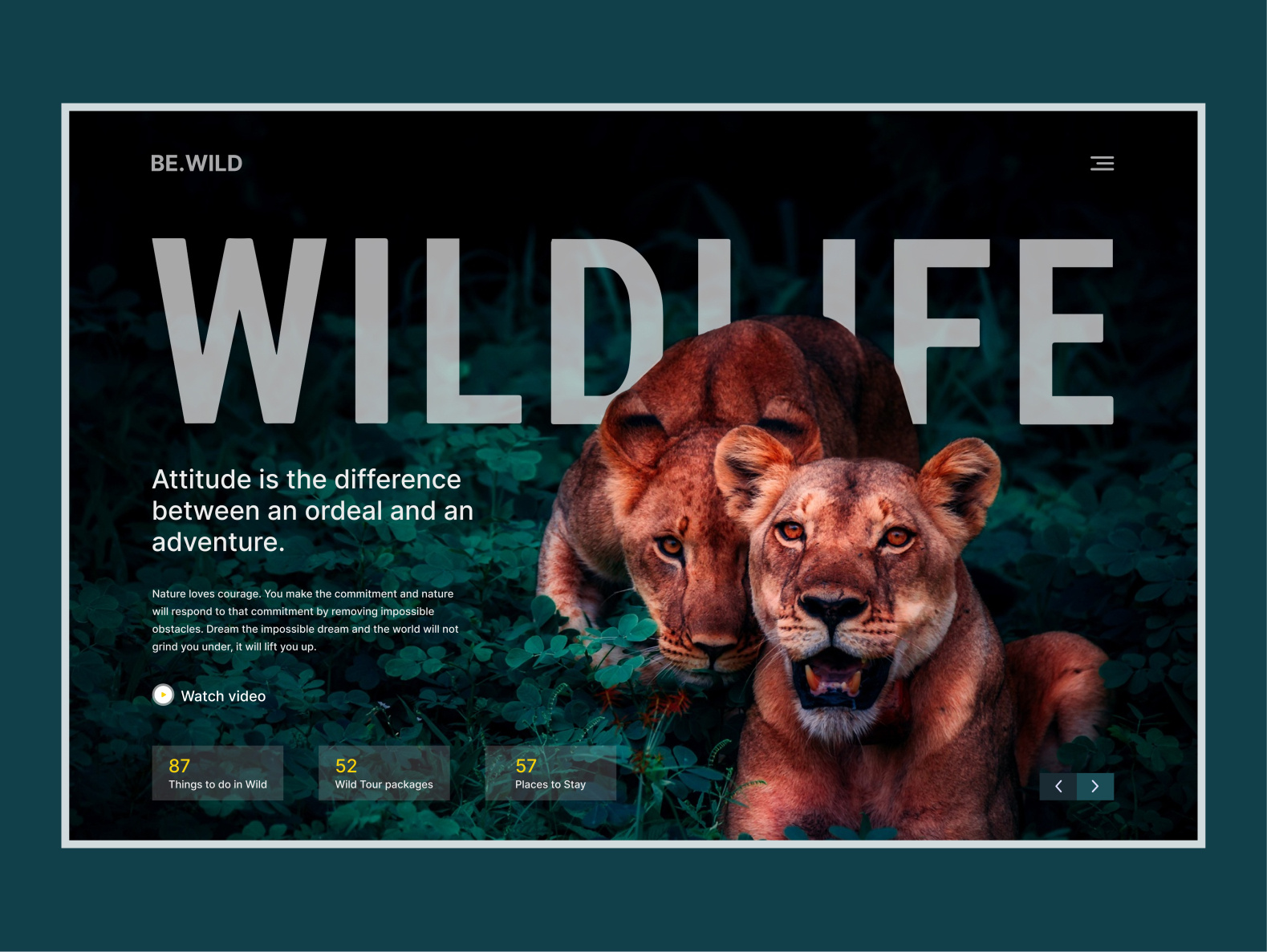 Wild Life - Landing Page Design by Bitmate Studio on Dribbble