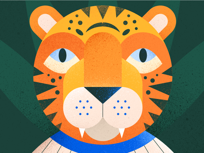 A Paper Tiger by Morgane Sanglier on Dribbble