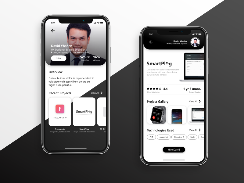 Freelancer Profile by David Ybañez on Dribbble