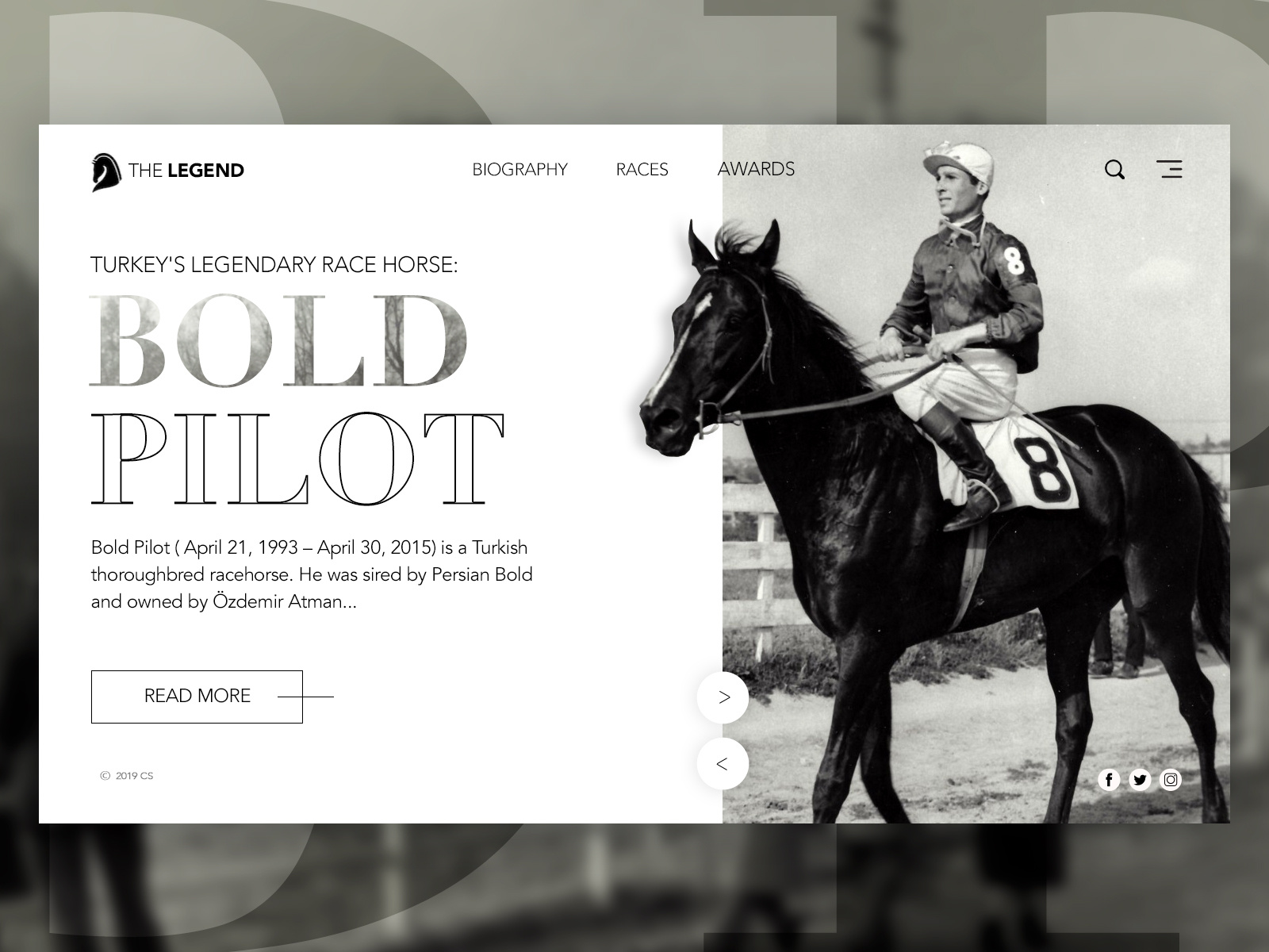 Legendary Champion: Bold Pilot by Çaglar Şaşmaz on Dribbble