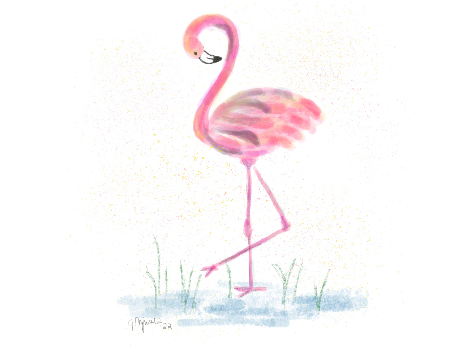 Flamingo by Jen Dipzinski on Dribbble