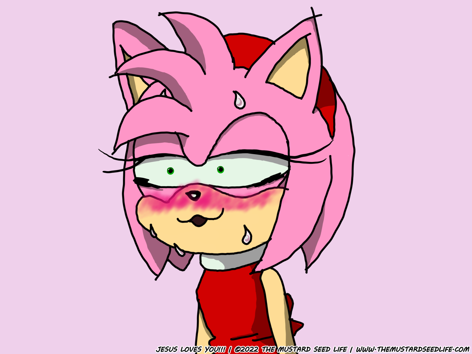 🤤Amy Rose | Day 20 | 100 Faces Meme Challenge by Tiny MustardSeed on ...