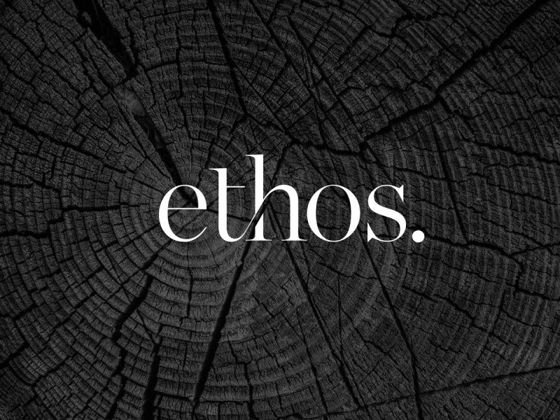 Ethos Property Logo Design by Fable&Co. on Dribbble
