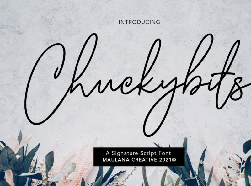 Chuckybits Fancy Signature Script Font by Deeezy on Dribbble