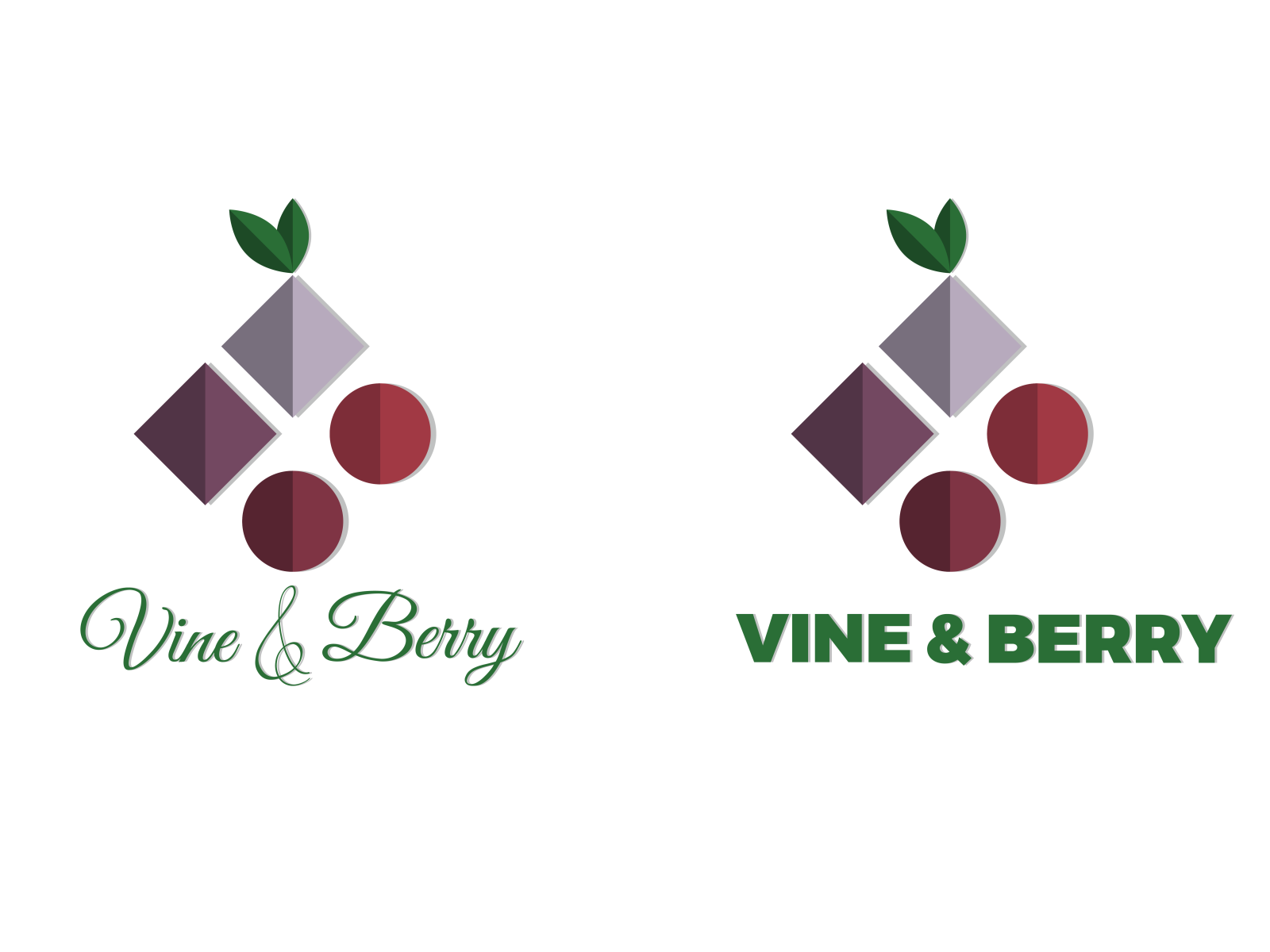 Vine and berry logo by Damjan Markovic on Dribbble