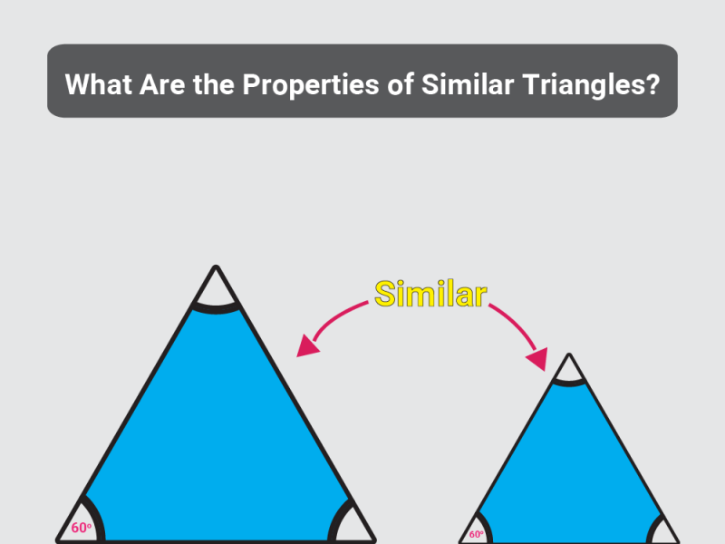 What Are The Properties Of Similar Triangles By Ana Perry On Dribbble what-are-the-properties-of-similar-triangles-by-ana-perry-on-dribbble