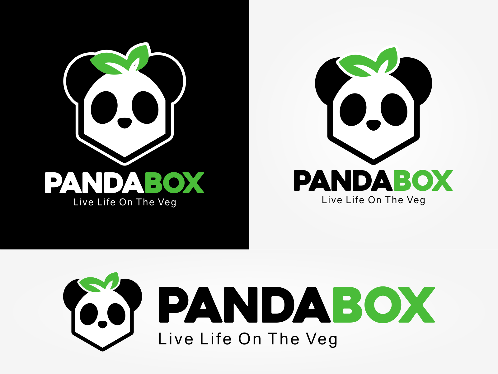 Panda Box Logo by Rudi Mosclot on Dribbble