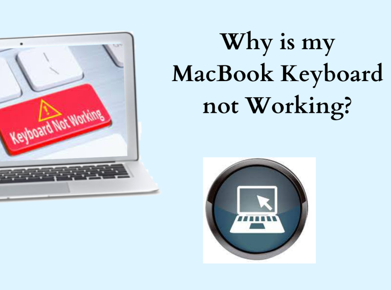 Why Is My Mac Keyboard Not Working By David Brown On Dribbble