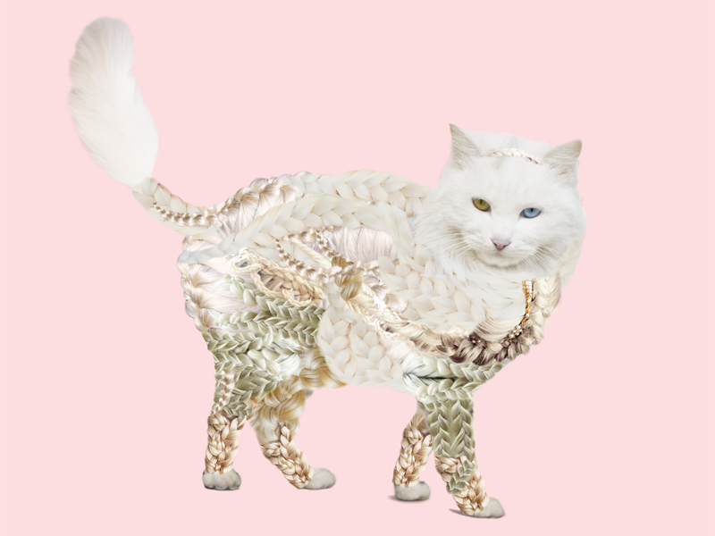 sometimes you just make your own dreams come true. by Nicole Licht on ...