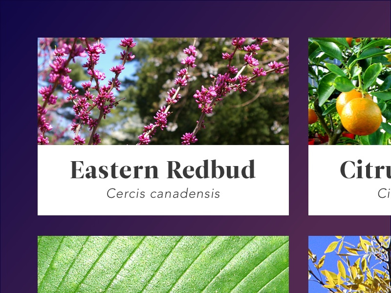 Andy Axton | Dribbble