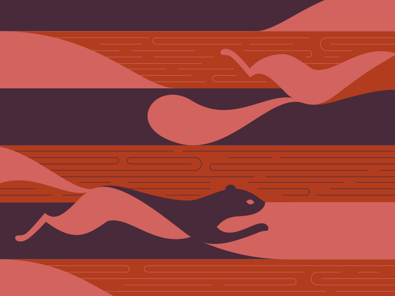 Two Squirrels Running Along a Weirdly Colored Log by Ross Bruggink on ...