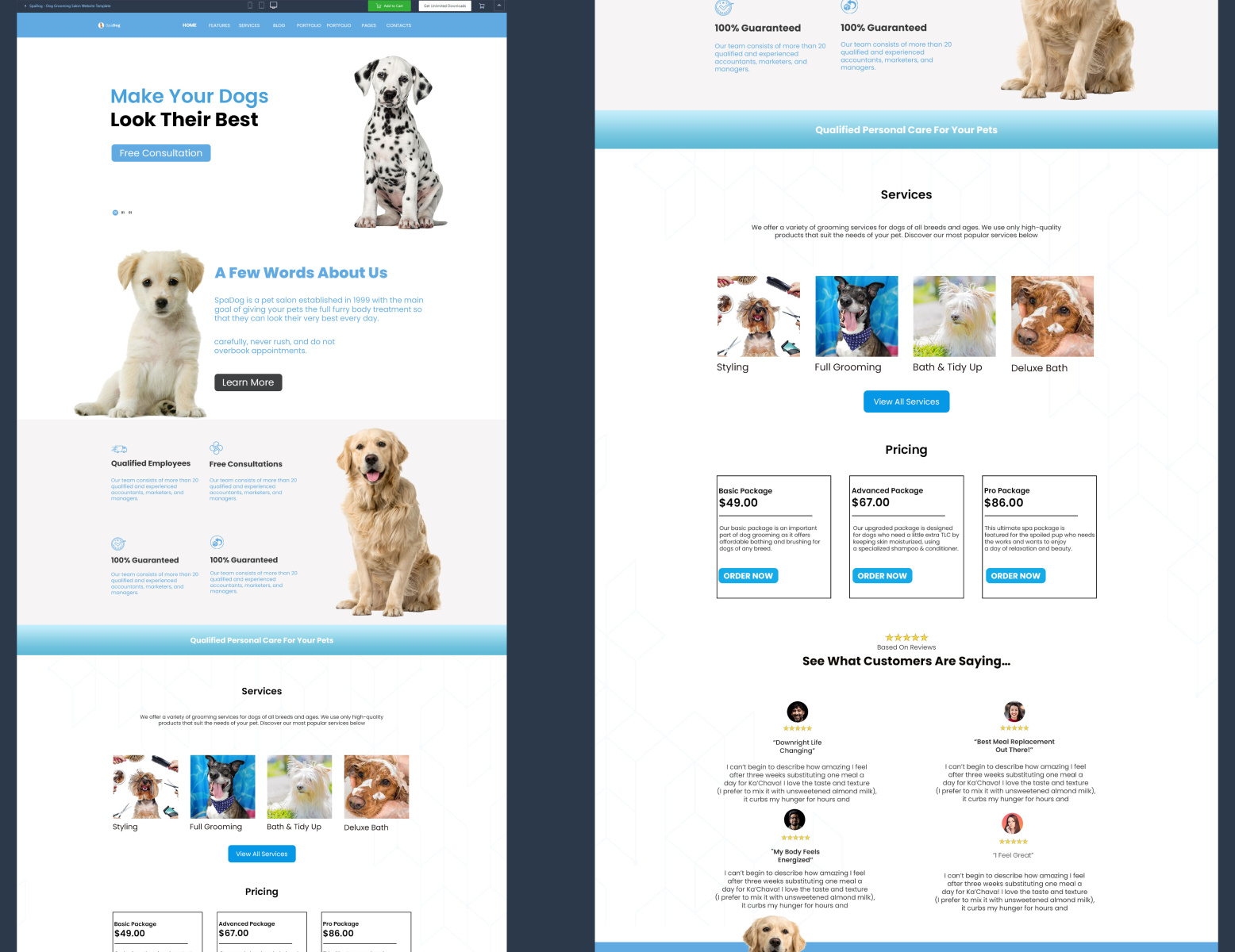 Web Ui Design!! by Anis Chy on Dribbble