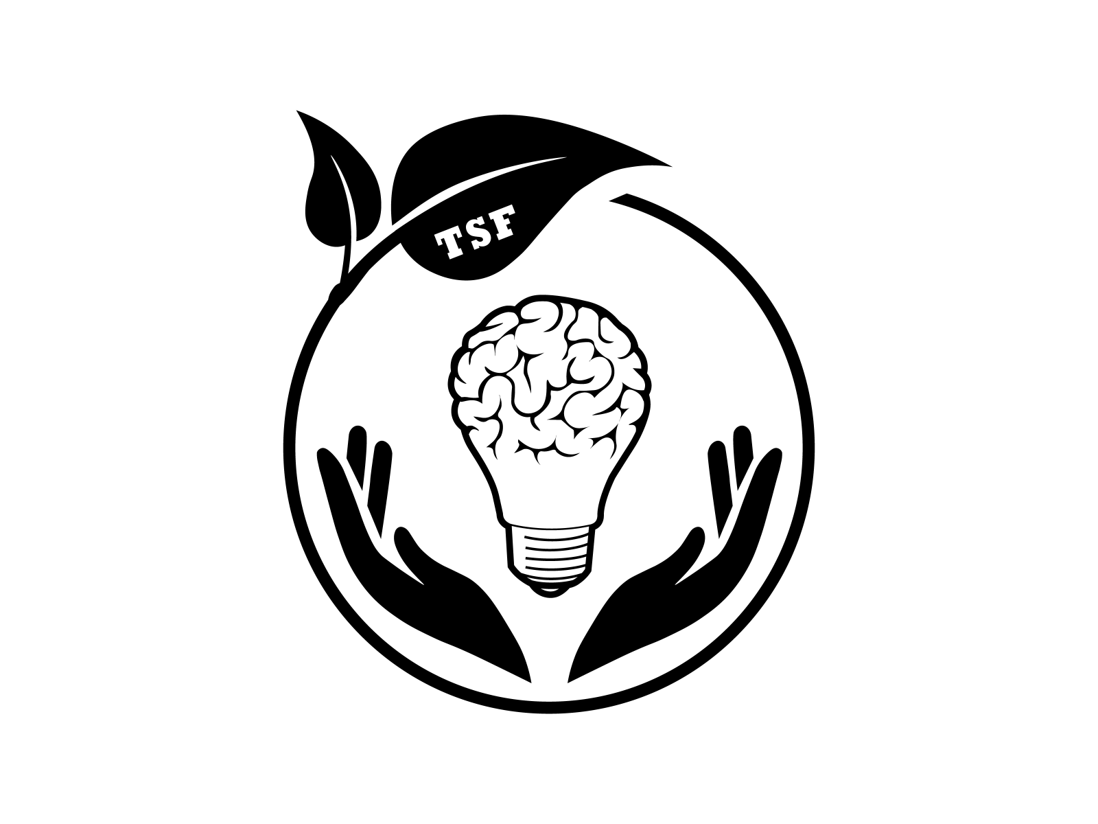 TSF project by Ahmad Fakhari on Dribbble