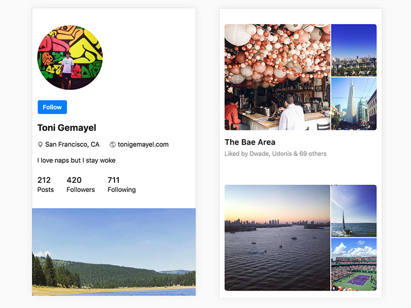 I miss the old instagram by Toni Gemayel on Dribbble