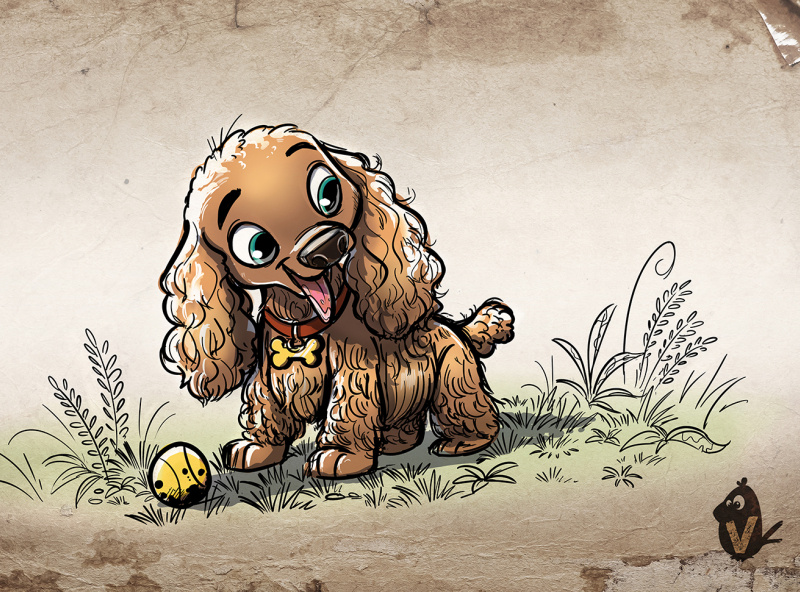 Cocker Spaniel by vipin jacob on Dribbble