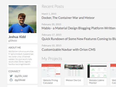 Developer profile design by Joshua Kidd on Dribbble