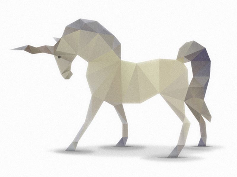 Unicorn by Santiago Durieux on Dribbble