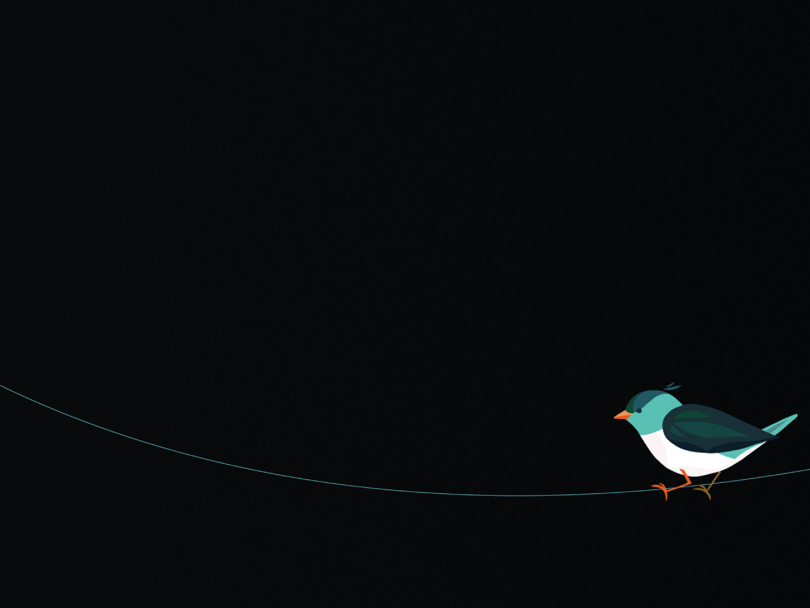 Bird graphic by Vishal Lamba on Dribbble