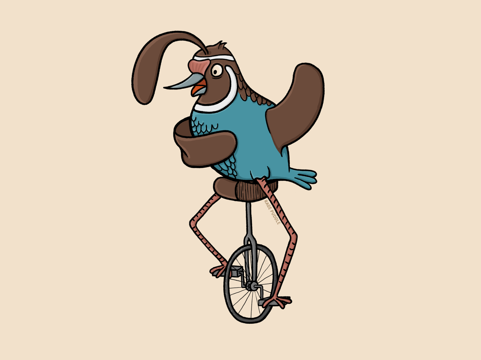 Unicycle Quail by Carol Patton on Dribbble
