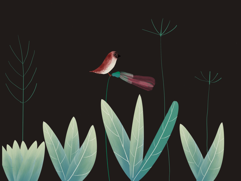 Day16-illustration by Gao Ya on Dribbble